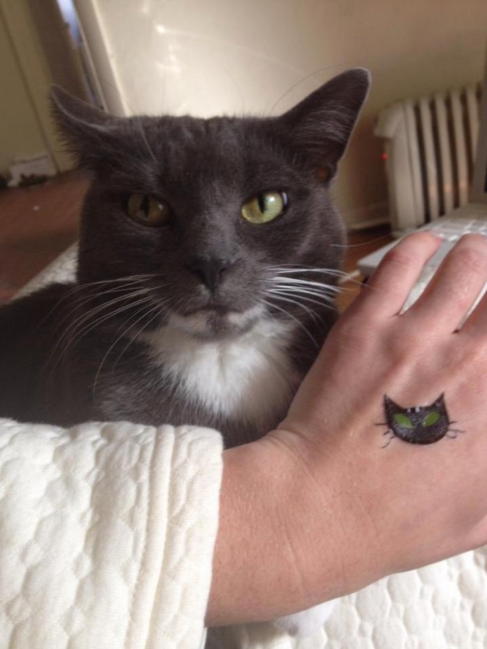 Tubbys confused face | Cute cats HQ - Pictures of cute cats and kittens ...