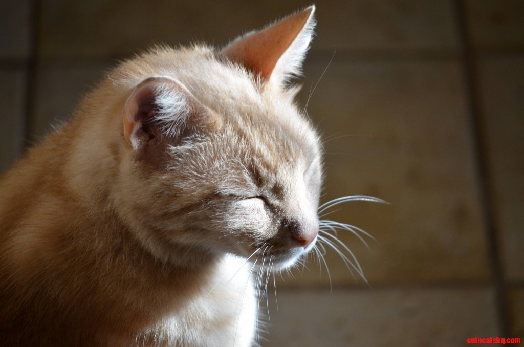 Its been 17 years since i got him for my birthday, look at him watching ...