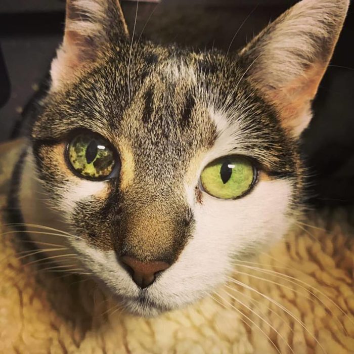 Dean seems to be wondering what im holding and if its edible or not ...