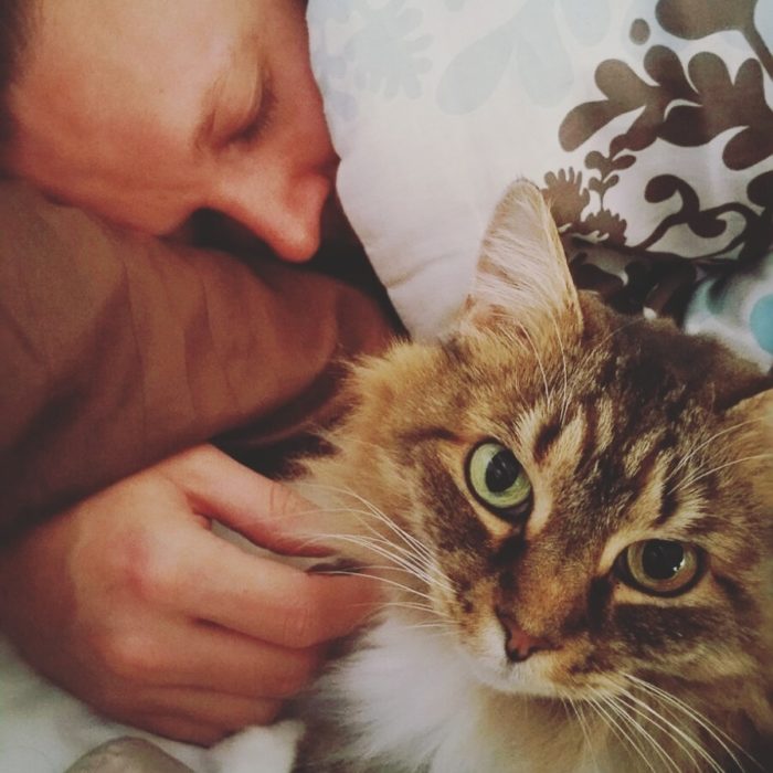 Hang in there! :D | Cute cats HQ - Pictures of cute cats and kittens ...