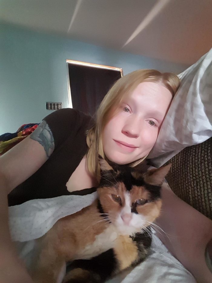 hey can i have some | Cute cats HQ - Pictures of cute cats and kittens ...